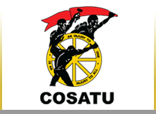 Cosatu demands probe into collapse PE Harbour