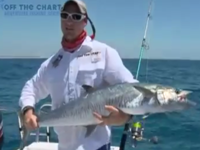 VIDEO: Klusener catches couta