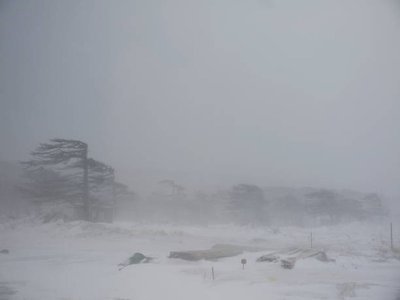 Severe winter storm to hit SA with snow, cold winds
