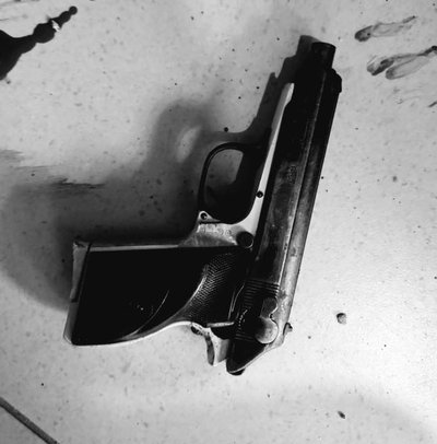 Boy (11) ‘accidentally’ shoot dead farm worker during hunting trip