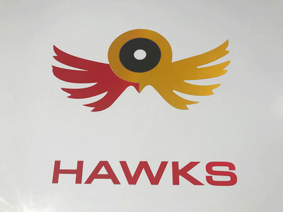 Hawks warn of new wave of identity theft, corporate fraud
