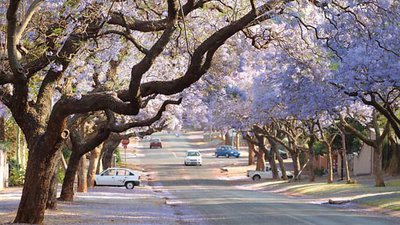 This South African street is one the most beautiful streets in the world