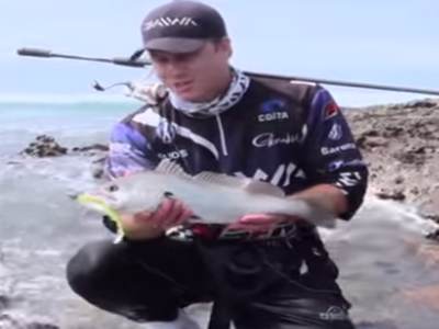 VIDEO: Kob on artificial bait