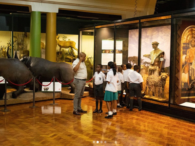 Pietermaritzburg's Hidden Gem: Why KwaZulu-Natal Museum deserves your visit