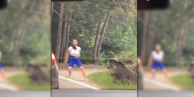 WATCH: Bear attacks tourist trying to get a selfie