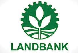 Land bank appoints chair,CEO