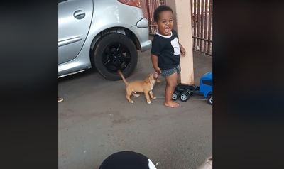 Puppy vs baby: Who wins this round?