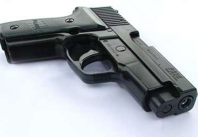 Little action on gun control despite mass shooting