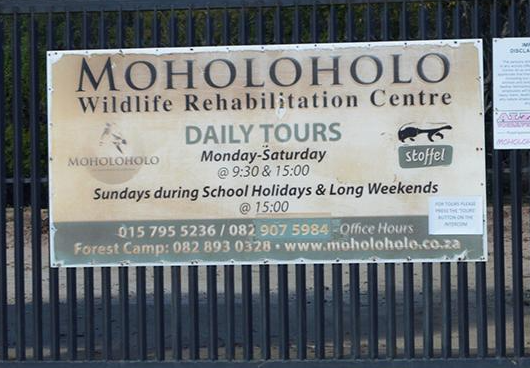 Limpopo a 'must visit' tourist destination this festive