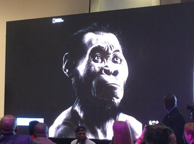 Discovery of Homo Naledi fossils the missing link in evolution research