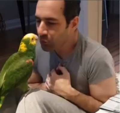Watch how this parrot rewards its owner's healthy habits
