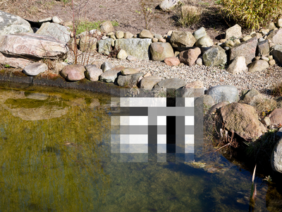 Monster python spotted slithering in South African pond