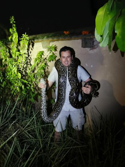 PHOTOS: Massive python wrestled out of Waterfall garden