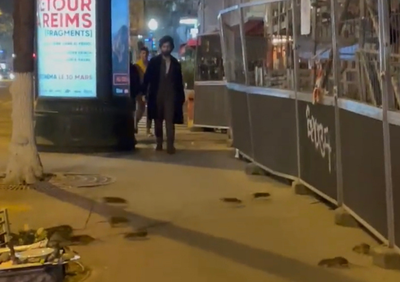 WATCH: Paris is the City of Love - and plenty of rats!