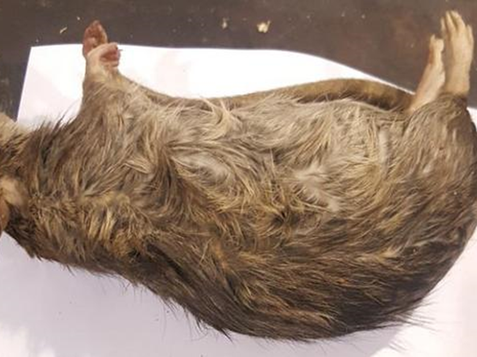 Jacaranda FM - More Music You Love