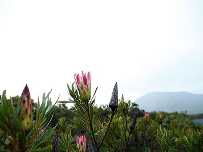 Top 5 places to visit during SANParks Week