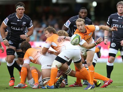 Sarel ready to face Sharks