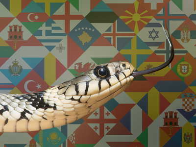 Snake-free! Nine countries where there are no snakes in sight