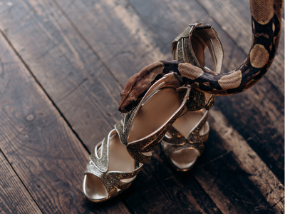 Snakes on the loose! Check your shoes, KZN...