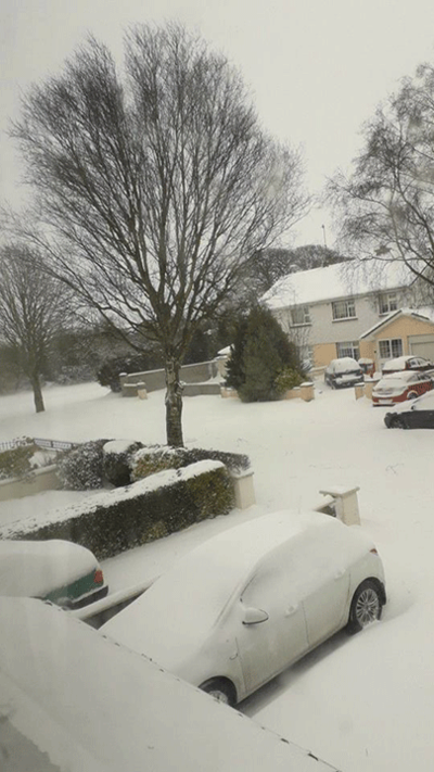Durban resident speaks of surviving Storm Emma in Ireland