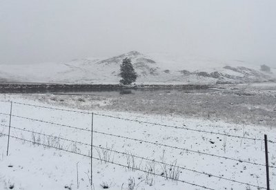 Weather experts predict snow on the berg