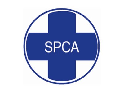 SPCA wants justice for starved dog