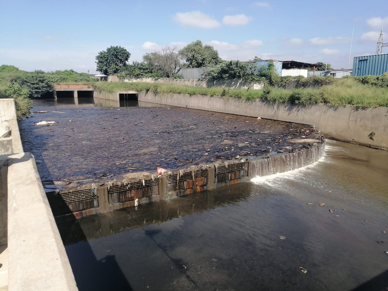 WATCH: 'It's a disgrace, everything is dying' - Durban canal pollution