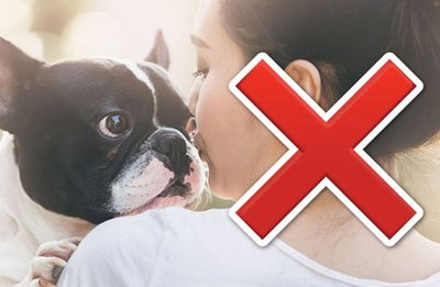 Big reason why you must not hug your dog