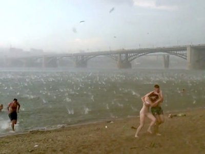 24 terrible dance moves in 1 min