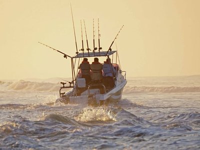 Durban producing Natal snoek