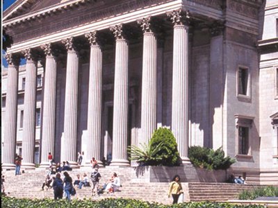 100 books destroyed in Wits library fire