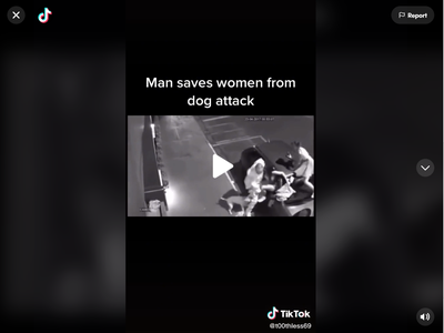 WATCH: Strange video of man saving lady from dogs