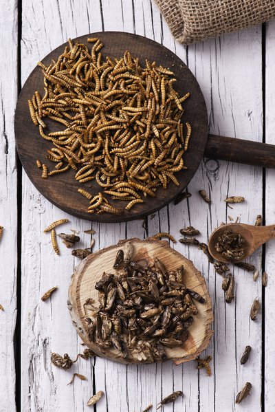 This restaurant only serves worms on its menu