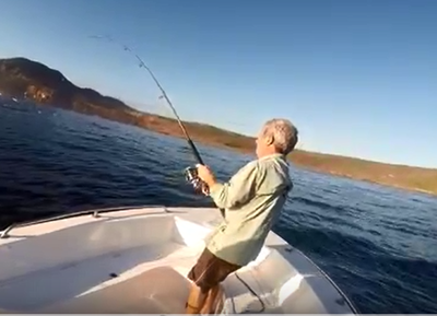 WATCH - Cape yellowtail fishing