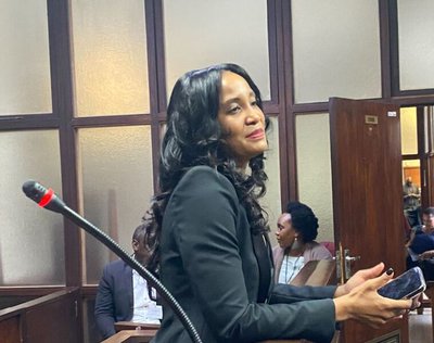 High bar for State in Duduzile Zuma-Sambudla unrest trial: Expert