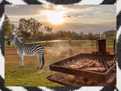 Experts say that zebra meat should be on our braais this year